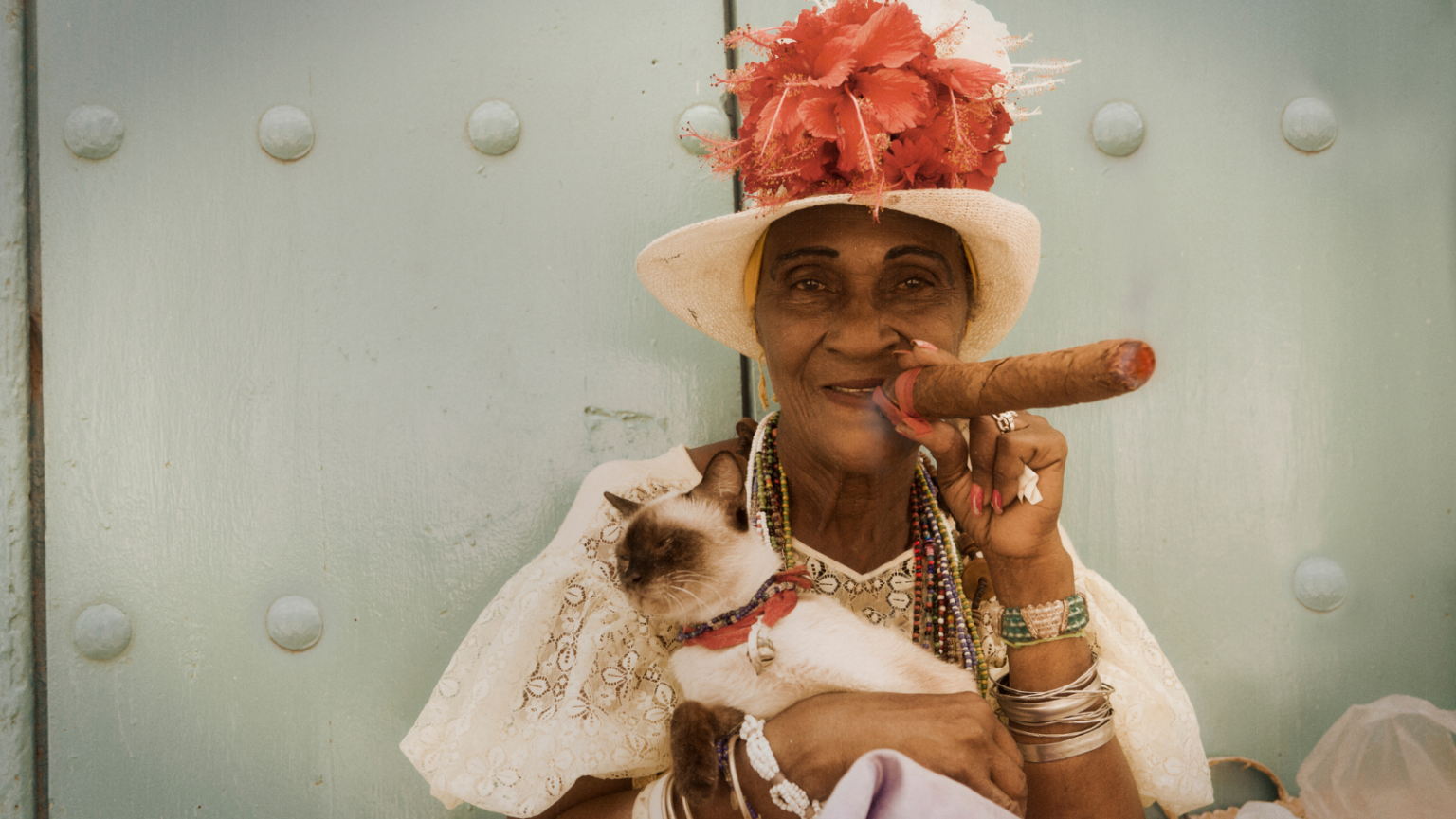 Tapestry of Humanity: Understanding & Creating Cultural Snapshots - LOGA